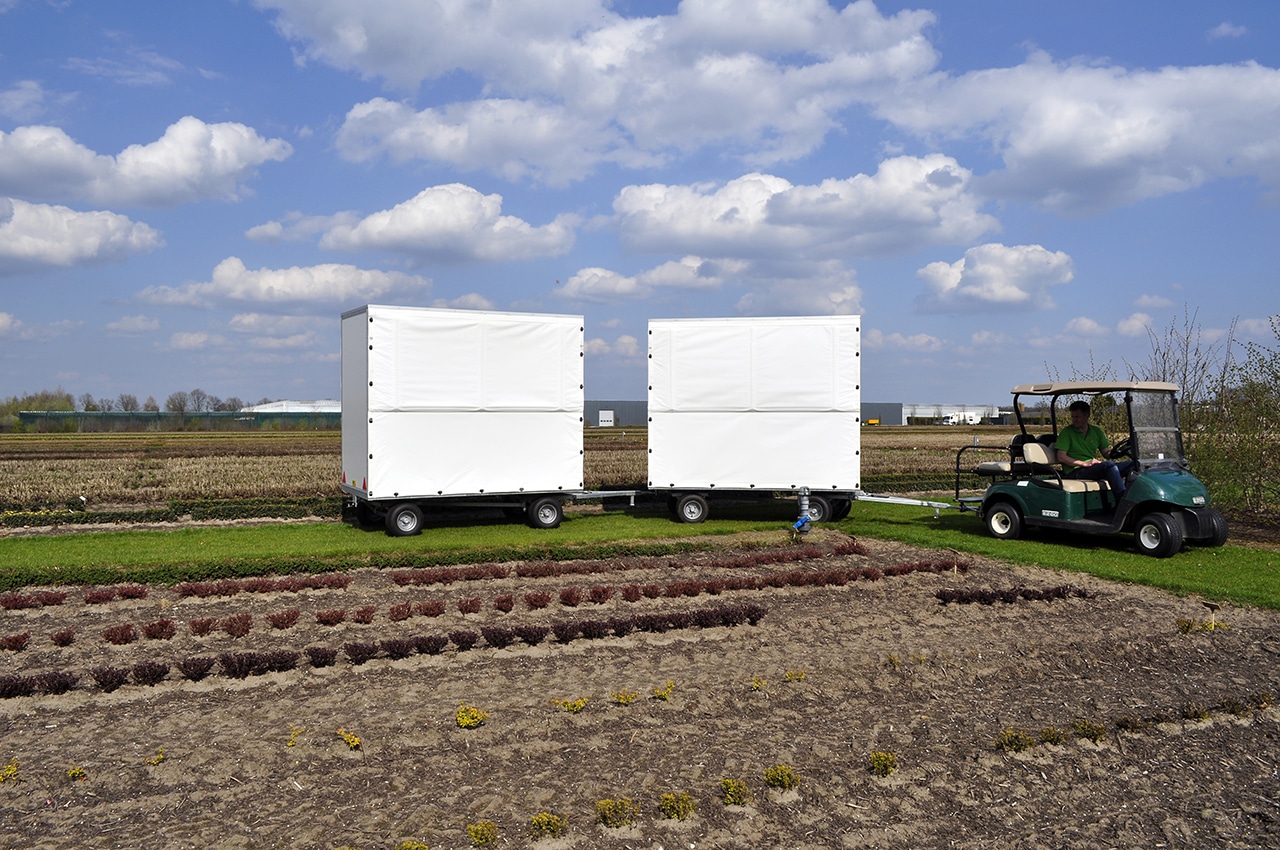 Rötjes young plants – Roots to success